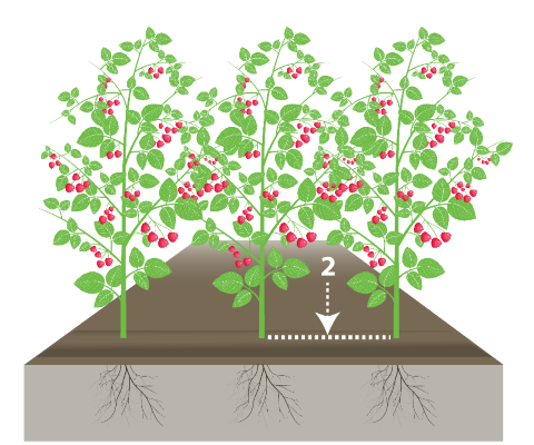 Soil sampling methods and tools - Province of British Columbia