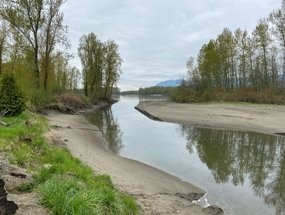 Hope Slough - Province of British Columbia