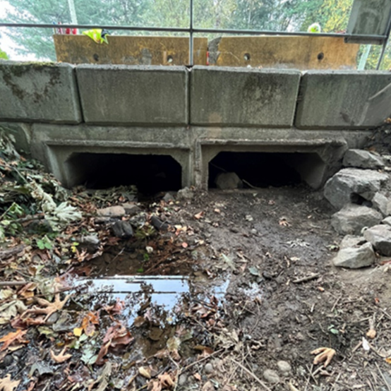 Kilgard Creek - Province of British Columbia