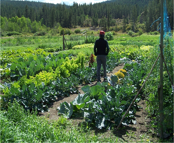 Agriculture & Seafood Programs - Province of British Columbia