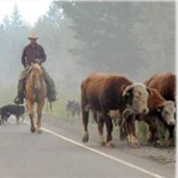 Agriculture and seafood programs - Province of British Columbia