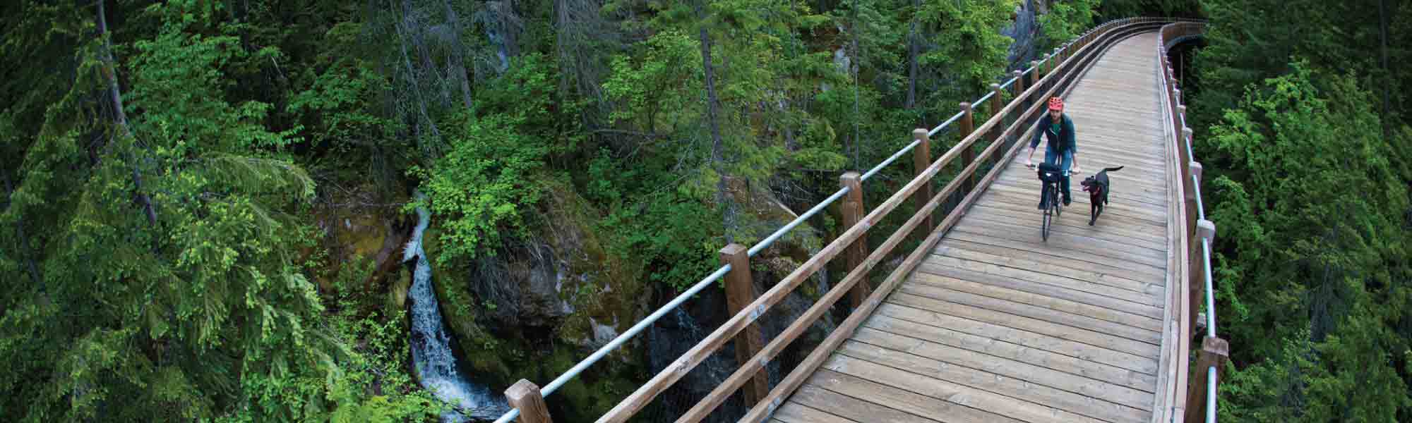 B.C. Homepage - Province of British Columbia